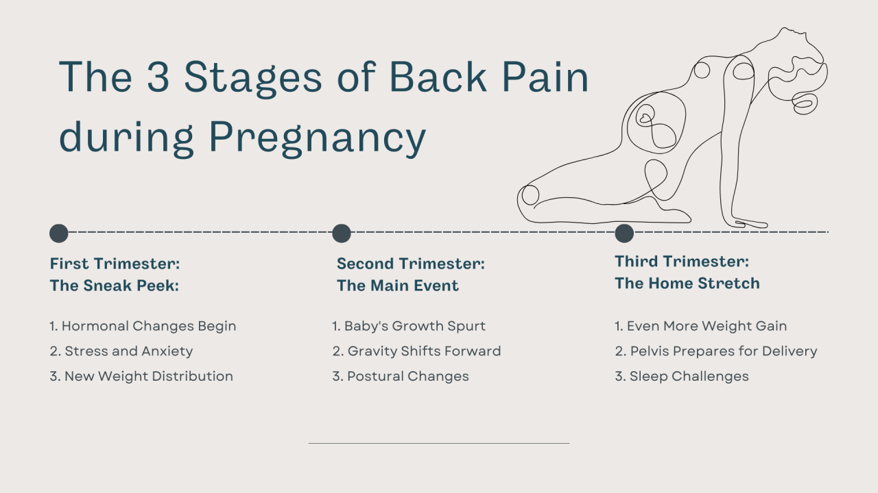 Chiropractic Care Can Address Back Pain during Pregnancy!